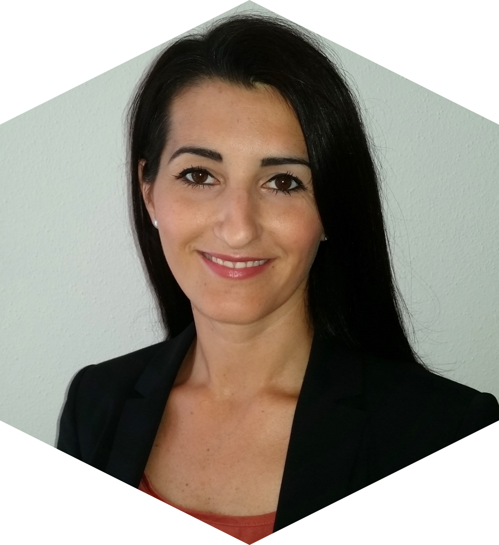 Über das Unternehmen: Bluefield IT Solutions GmbH